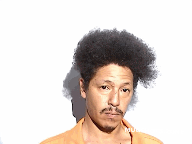 TYLER ERNEST LEE JR 04/15/2024 - Lucas County Mugshots Zone