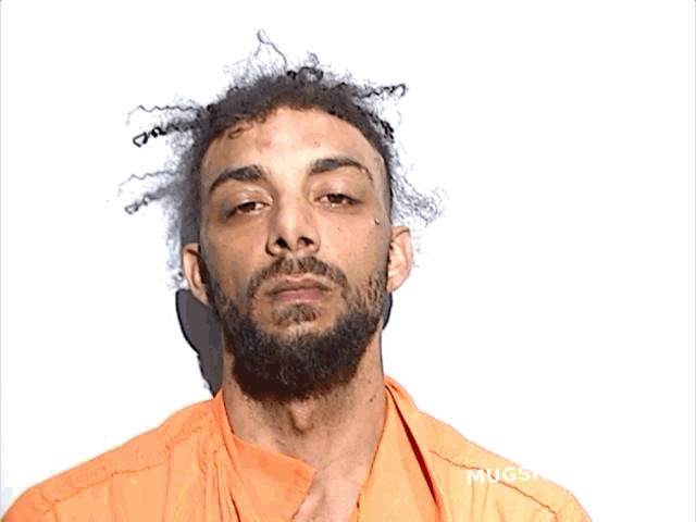 RUSHING ANTHONY LAVELLE JR 04/19/2024 - Lucas County Mugshots Zone