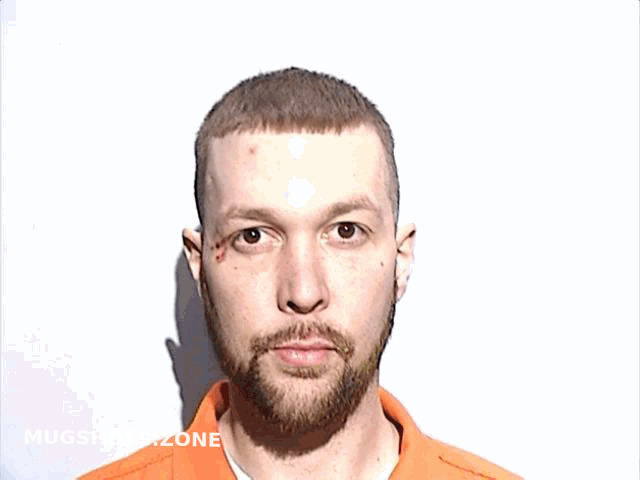 FEKETE SANDOR JACOB 04/22/2024 - Lucas County Mugshots Zone