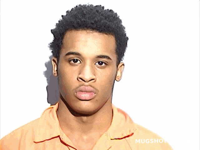 SHIELDS ROBERT III 04/22/2024 - Lucas County Mugshots Zone