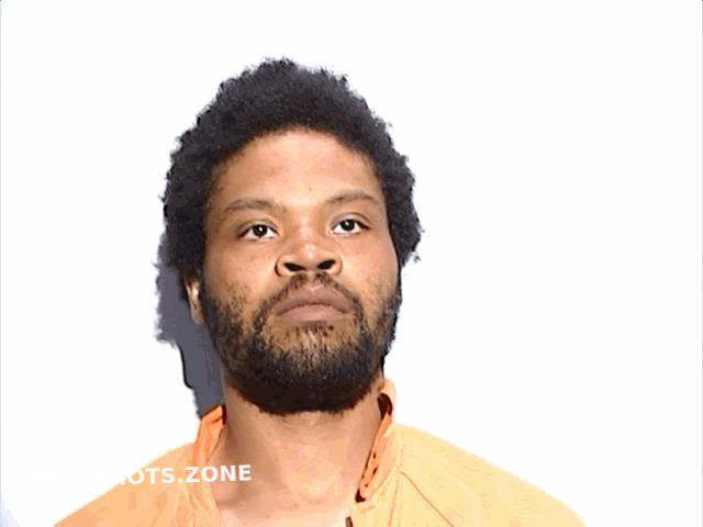 HANSON STEVEN ANTHONY 04/25/2024 - Lucas County Mugshots Zone