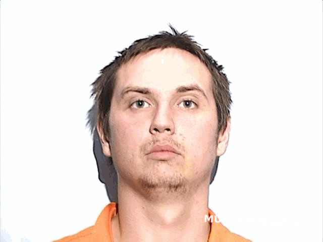 NYE AUSTIN JARRED 04/27/2024 - Lucas County Mugshots Zone