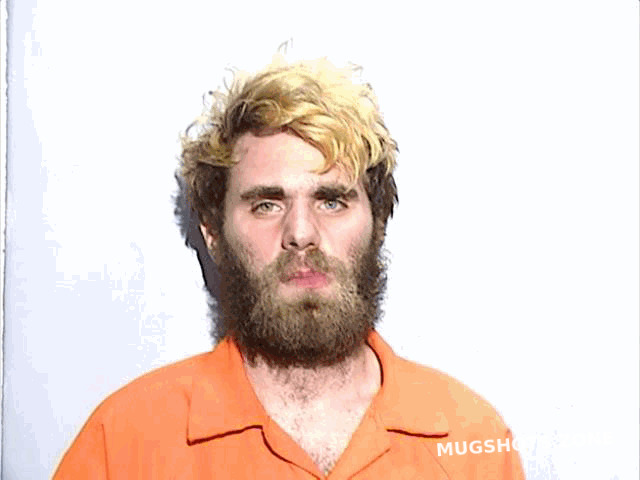 HARTER BRANDON PAUL 04/29/2024 - Lucas County Mugshots Zone