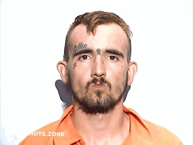 WOODS JASON TREVOR 04/29/2024 - Lucas County Mugshots Zone