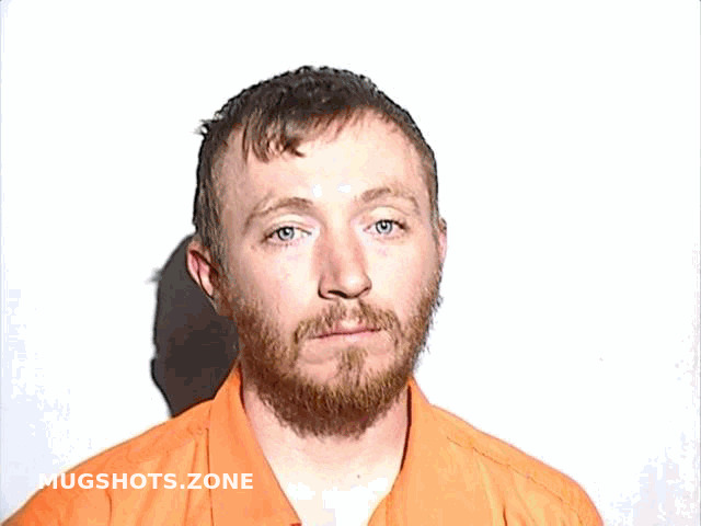 ETZEL DAVID CHEVY 05/04/2024 - Lucas County Mugshots Zone