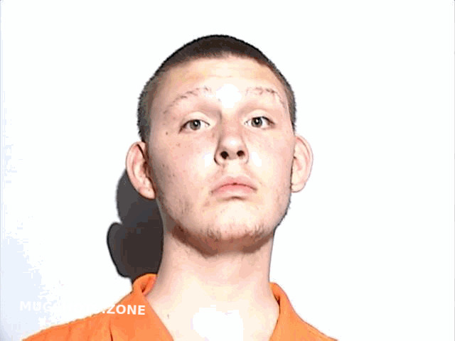 HINSHAW TYLER LEE 05/04/2024 - Lucas County Mugshots Zone