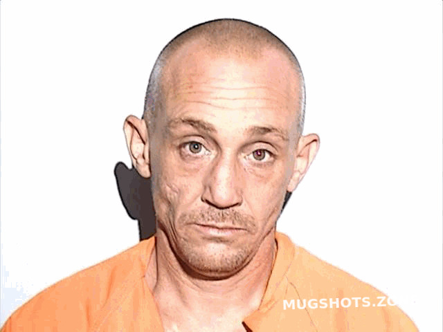 HOGG RAINY MICHAEL 05/11/2024 - Lucas County Mugshots Zone HOGG RAINY MICHAEL 05/11/2024 - Lucas County Mugshots Zone