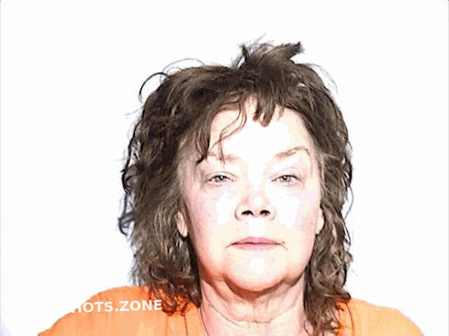HULTZ LISA MARGARETTE 05/13/2024 - Lucas County Mugshots Zone