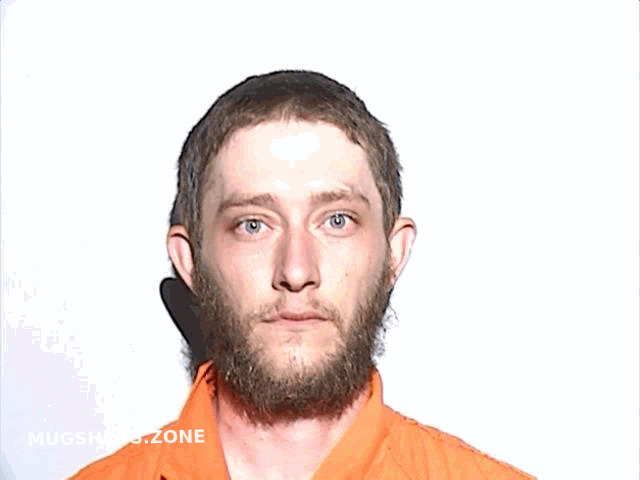 ALBER JUSTIN TYLER 05/18/2024 - Lucas County Mugshots Zone
