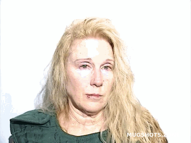 ANDERSON JENNIFER KAY 05/19/2024 - Lucas County Mugshots Zone