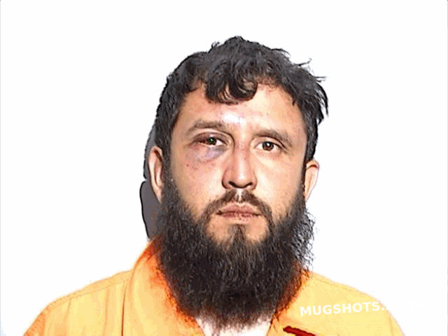 VILLALON RAMON ANTHONY 05/20/2024 - Lucas County Mugshots Zone