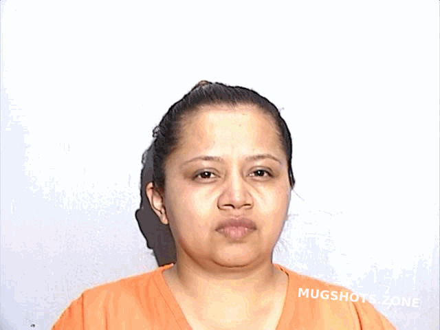 VEGA-RAMIREZ ERIKA 05/21/2024 - Lucas County Mugshots Zone