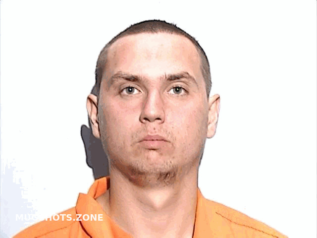 NYE AUSTIN JARRED 05/22/2024 - Lucas County Mugshots Zone
