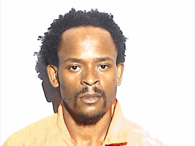 MCCOY DARYL FRANKLIN JR 05/27/2024 - Lucas County Mugshots Zone