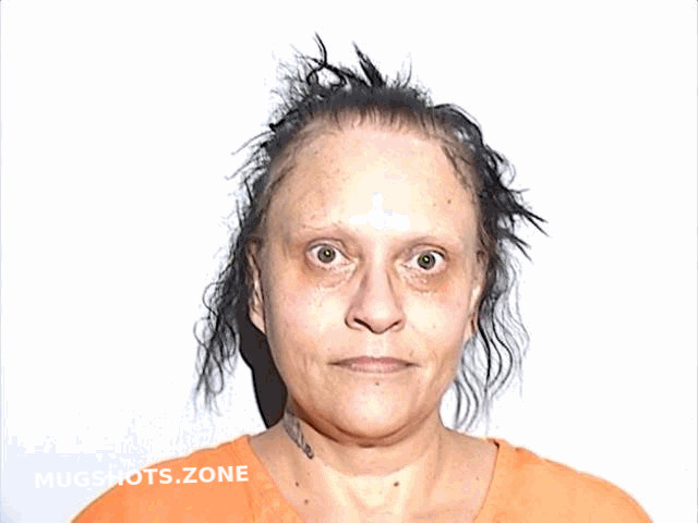 TANNER VICKI LYNNE 05/27/2024 - Lucas County Mugshots Zone