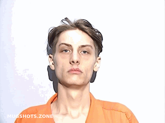 HEINZE TYLER RICHARD COLLIN 05/31/2024 - Lucas County Mugshots Zone