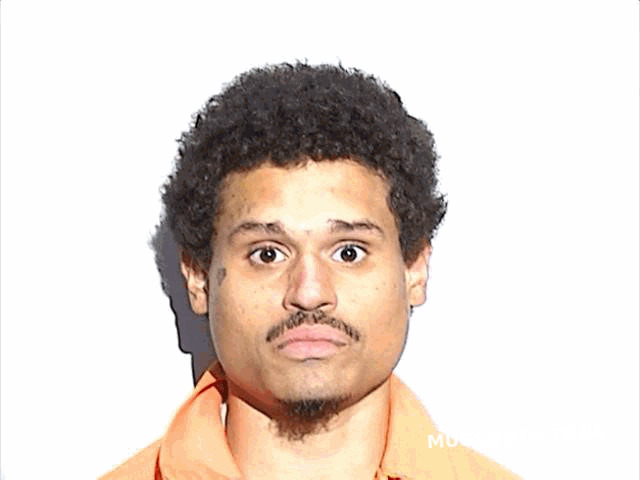 GALLAGHER JAYLUN MICHAEL 06/01/2024 - Lucas County Mugshots Zone