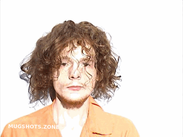 BURGIN BRANDON MICHAEL 06/01/2024 - Lucas County Mugshots Zone