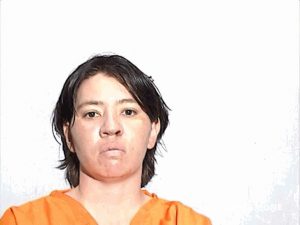 KONGVONGSAY DOMINIQUE SUZONNE 06/01/2024 - Lucas County Mugshots Zone