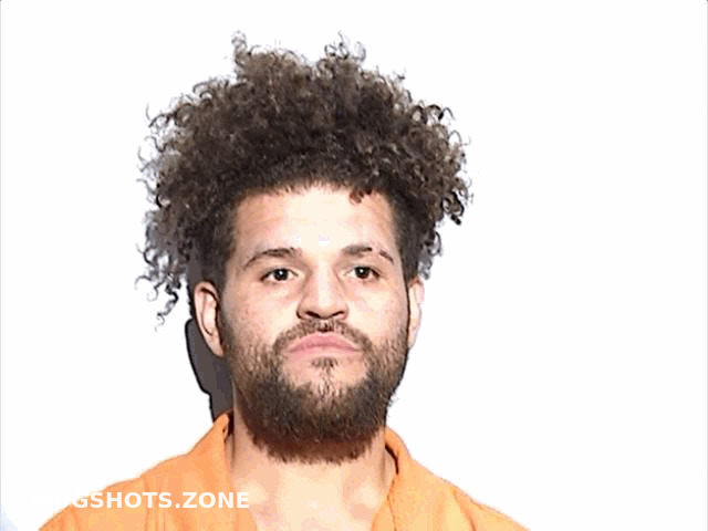 ACOSTA JOSHUA ALEXANDER 06/03/2024 - Lucas County Mugshots Zone