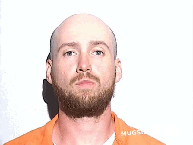 LAMB DUSTYN JAMES 06/06/2024 - Lucas County Mugshots Zone