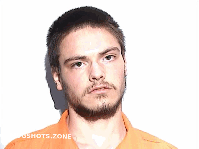 HANSEL HAVEN AUSTIN 06/08/2024 - Lucas County Mugshots Zone