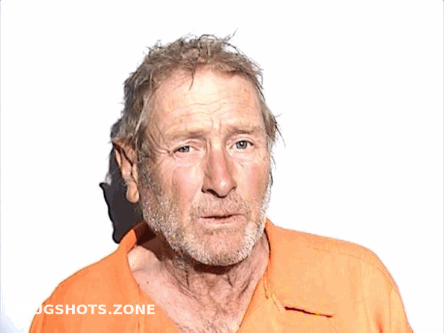 YOUNG DERRICK EDWIN 06/11/2024 - Lucas County Mugshots Zone