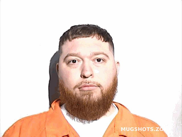 JOHNSON STEVEN BENNIE JR 06/12/2024 - Lucas County Mugshots Zone
