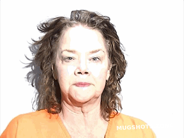 HULTZ LISA MARGARETTE 06/13/2024 - Lucas County Mugshots Zone
