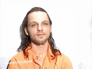 TODAK STEVEN MICHAEL 06/13/2024 - Lucas County Mugshots Zone