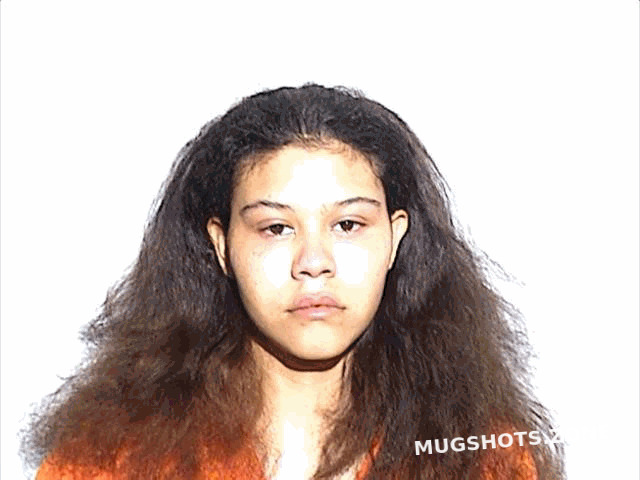 MCLAUGHLIN BRANDY MORRISSA-AN 06/15/2024 - Lucas County Mugshots Zone