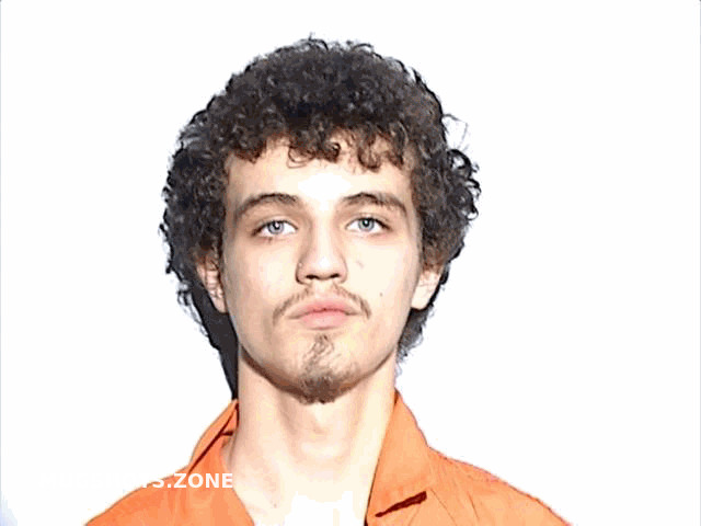 HALL BRANDON SCOTT 06/16/2024 - Lucas County Mugshots Zone