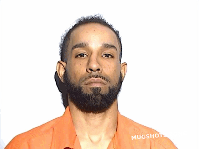 GORDON TYLER LEE 06/17/2024 - Lucas County Mugshots Zone