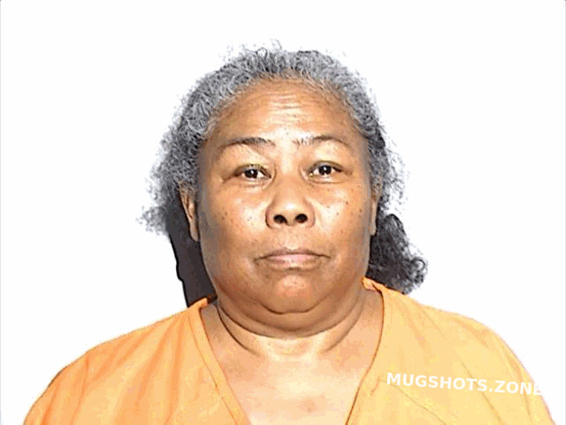 PORTER-MCRAVEN SHEREE JULIE 06/20/2024 - Lucas County Mugshots Zone