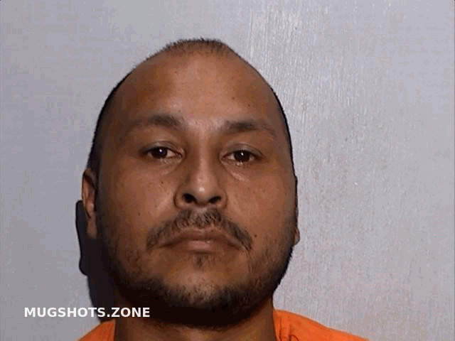 MACHUCA ERICH PETER 06/21/2024 - Lucas County Mugshots Zone