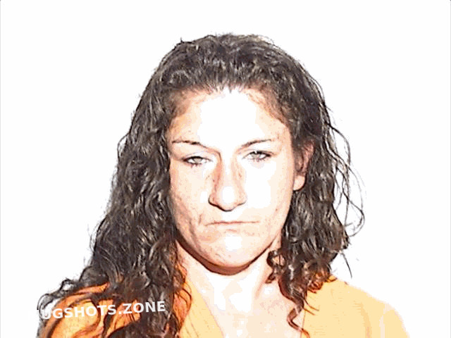 WARD JODI C 06/26/2024 - Lucas County Mugshots Zone