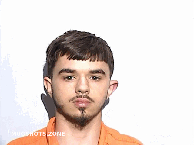 HAMILTON DOMINICK ANTHONY 06/28/2024 - Lucas County Mugshots Zone