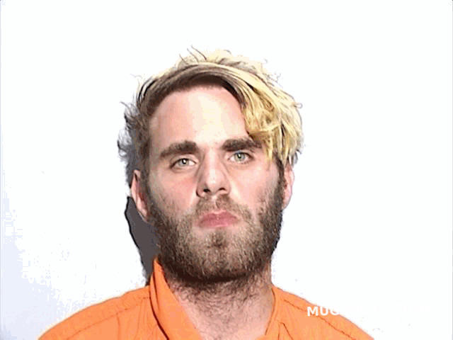HARTER BRANDON PAUL 06/28/2024 - Lucas County Mugshots Zone