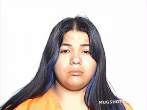 PORRAS DENISE 06/30/2024 - Lucas County Mugshots Zone