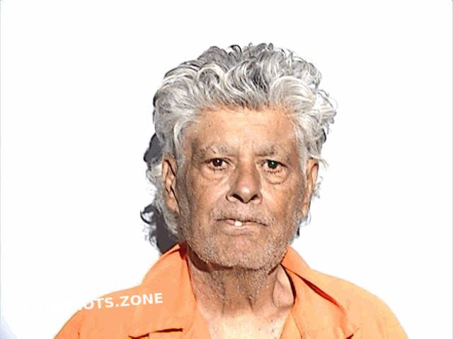 HAMES GARY LEE 07/03/2024 - Lucas County Mugshots Zone