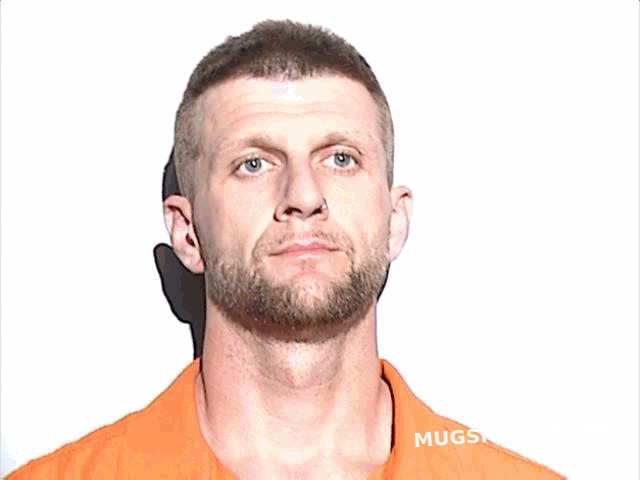 HATTON SHAWN MICHAEL 07/03/2024 - Lucas County Mugshots Zone