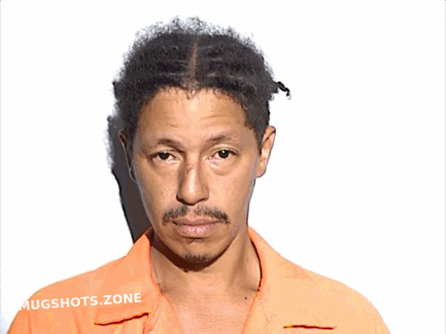 TYLER ERNEST LEE 07/04/2024 - Lucas County Mugshots Zone