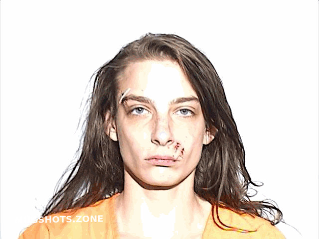 VANCO EMALEE ANN 07/04/2024 - Lucas County Mugshots Zone