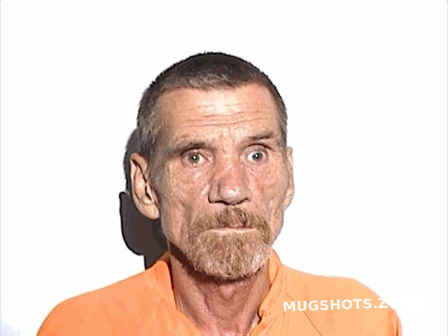 CONLEY WILLARD FITZGERALD 07/08/2024 - Lucas County Mugshots Zone