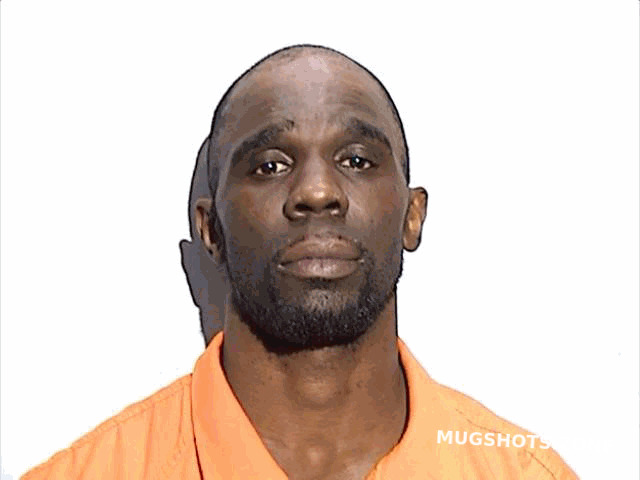 HUDSON DOMINIQUE RASHAD 07/12/2024 - Lucas County Mugshots Zone