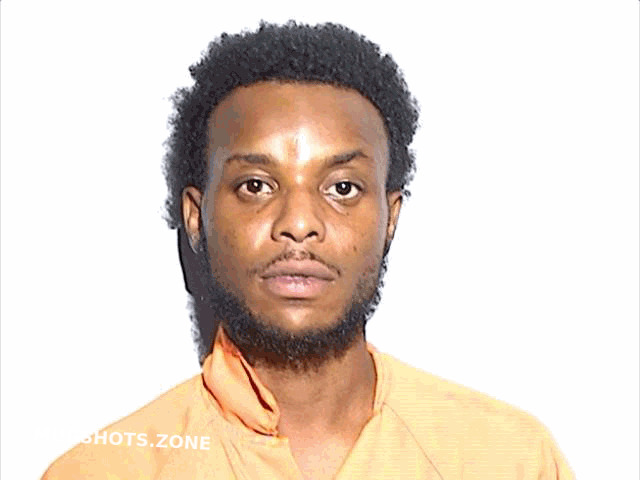 GOODWIN DAMON JERMAINE JR 07/15/2024 - Lucas County Mugshots Zone