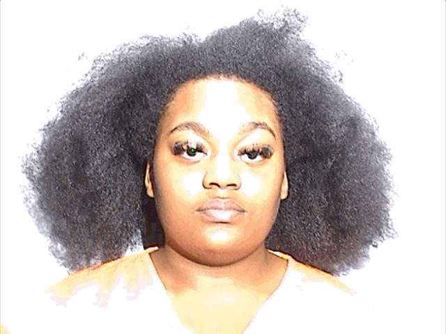 WILLIAMS JIMMIA L 07/15/2024 - Lucas County Mugshots Zone