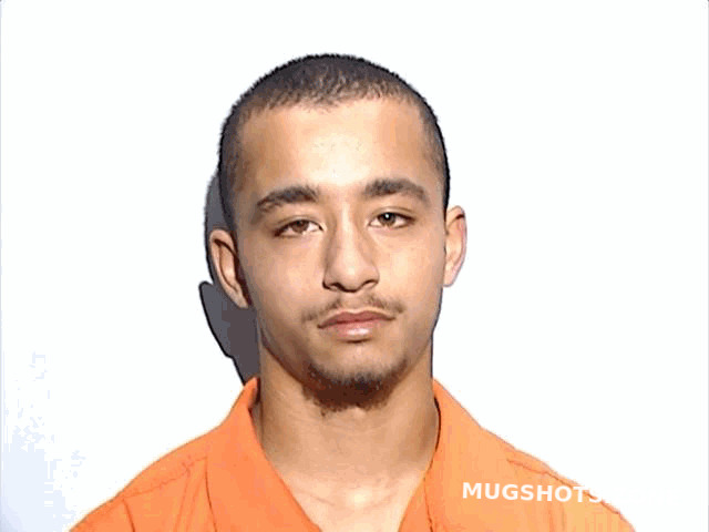 LANG DAVON KARL 07/17/2024 - Lucas County Mugshots Zone