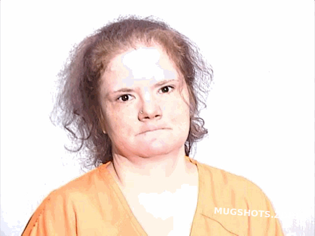 WIMER SARAH ELIZABETH 07/21/2024 - Lucas County Mugshots Zone