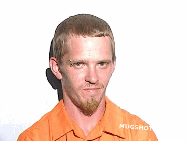 PETIT BRADLEY RICHARD 07/22/2024 - Lucas County Mugshots Zone